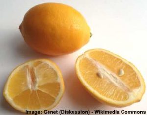 Types of Lemons: Lemon Varieties From Around the World With Pictures