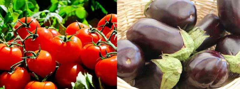 Types of Vegetables: List of Vegetables With Their Picture and Name