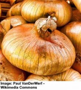 Types of Onions: Varieties of Onions With Their Uses (With Pictures)