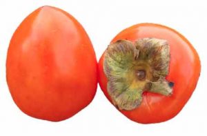 Types of Persimmons: Delicious Persimmon Varieties (Pictures & Names)