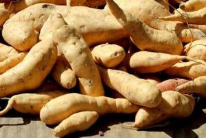 Types of Sweet Potatoes: Japanese, Hannah, Jersey and More