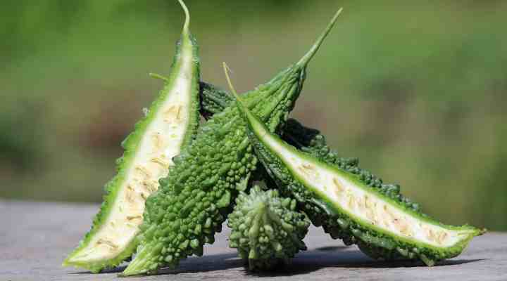 Types of Gourds With Pictures and Identification Chart